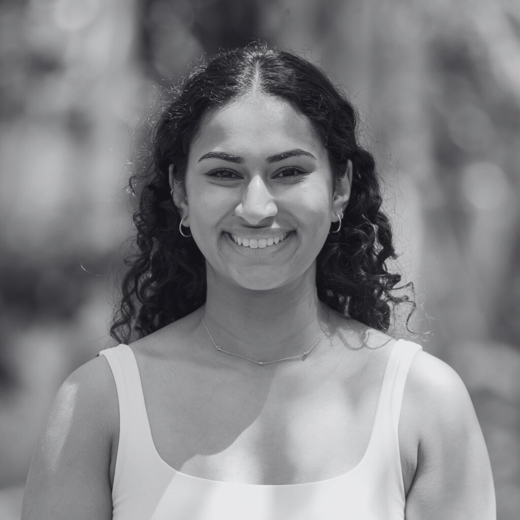 GDI Global Partner: The Americas | Global Development Incubator